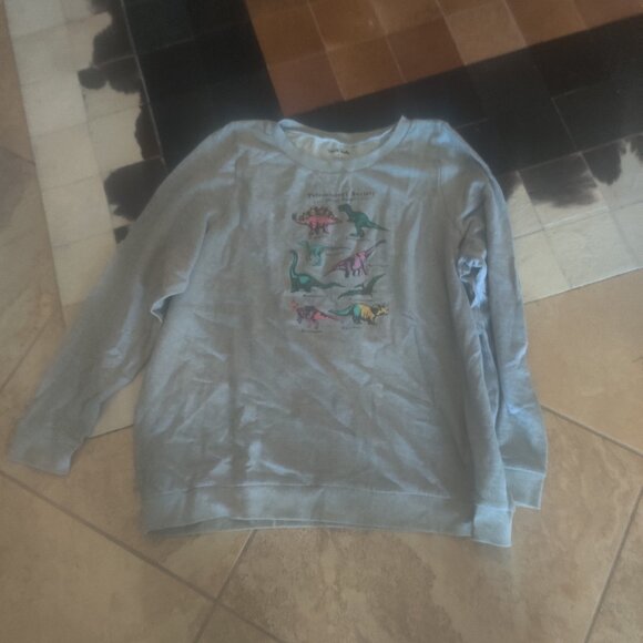 Modcloth | Tops | Modcloth Dinosaur Sweatshirt Size 3x | Poshmark